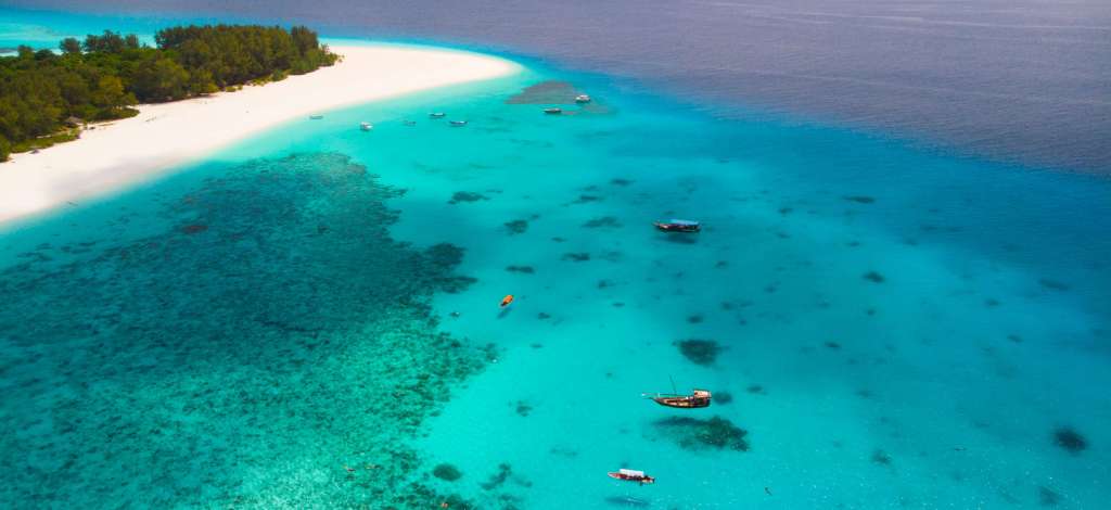 Diving in Mnemba | Best diving in Zanzibar | ScubaReef